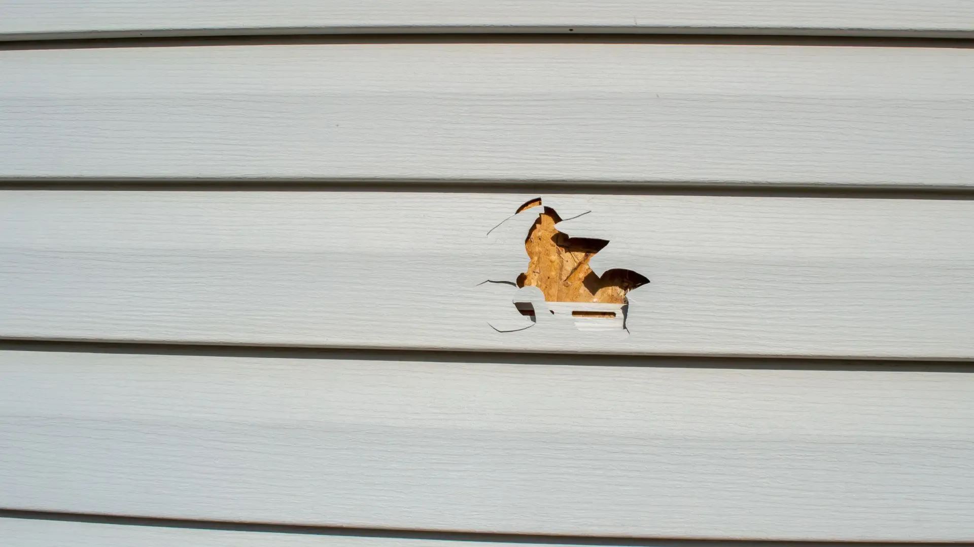 Common Causes of Buckling, Warping, or Cracked Siding | Safe Harbor ...